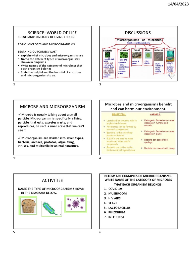 Understanding Microbes and Microorganisms | PDF | Microorganism ...
