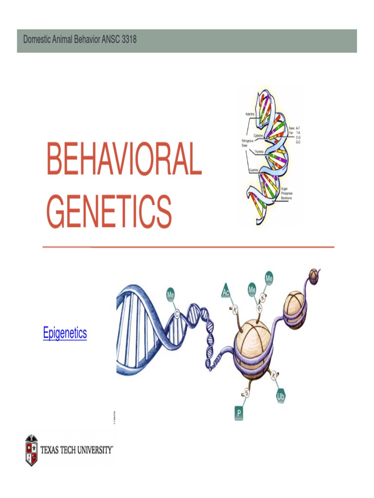Behavioral Genetics | PDF | Dog Breeds | Sheep