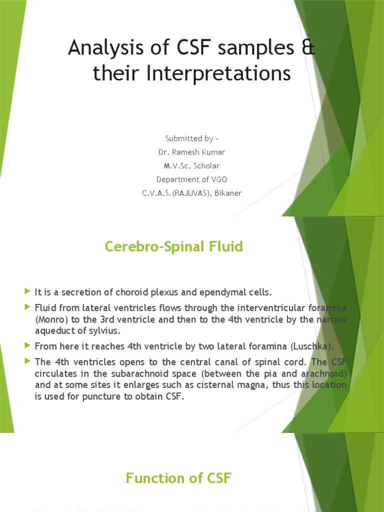 CSF Analysis and Their Interpretations in Animals | PDF | Cerebrospinal ...