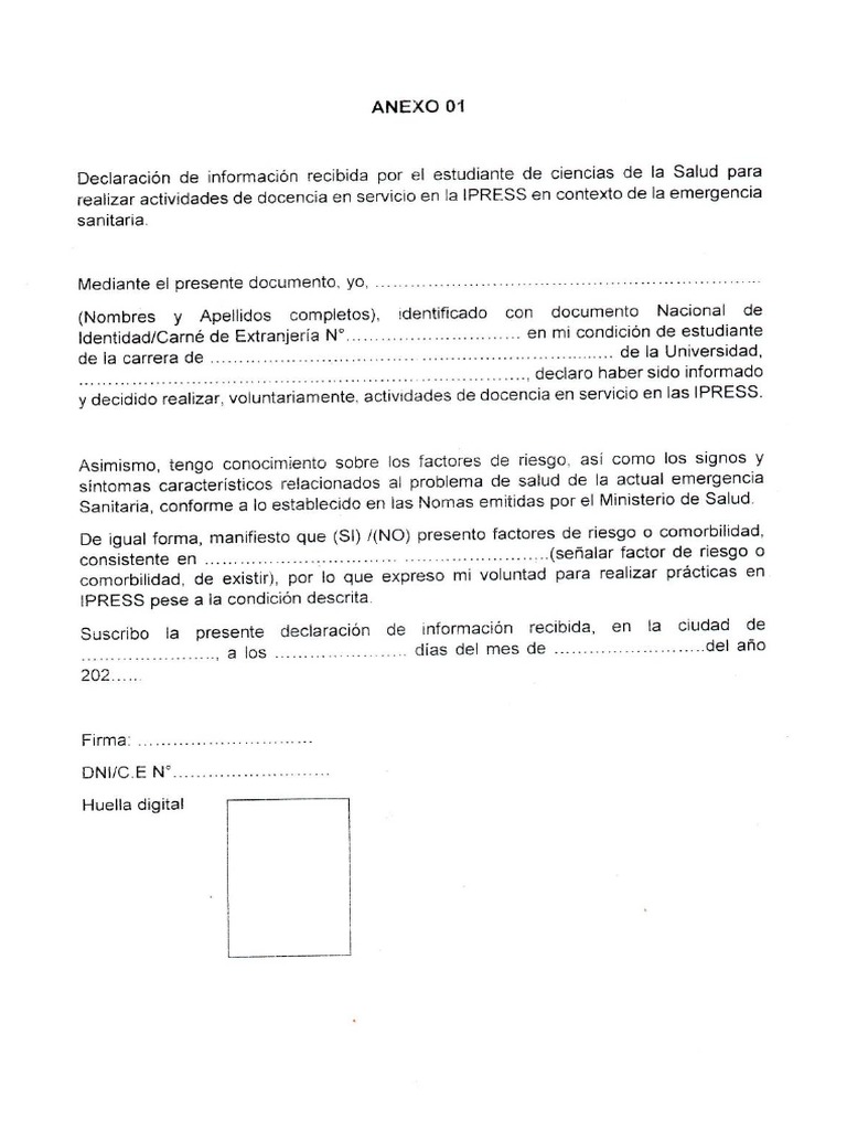 Anexo 01 | PDF