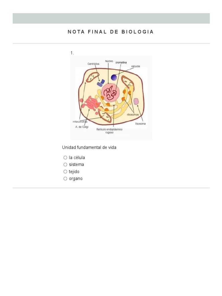 Nota Final de Biologia | Descargar gratis PDF | Biología Celular) | Rna
