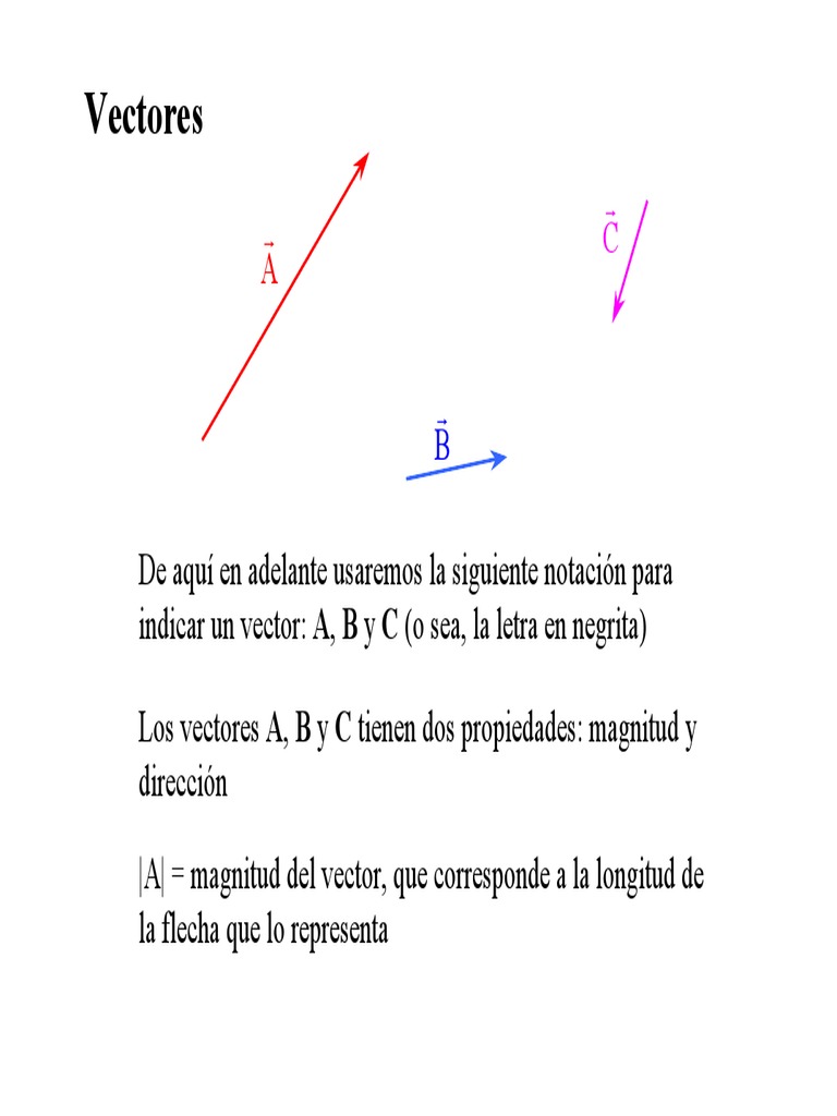 Fisica Vectores | PDF | Vector Euclidiano | Aceleración