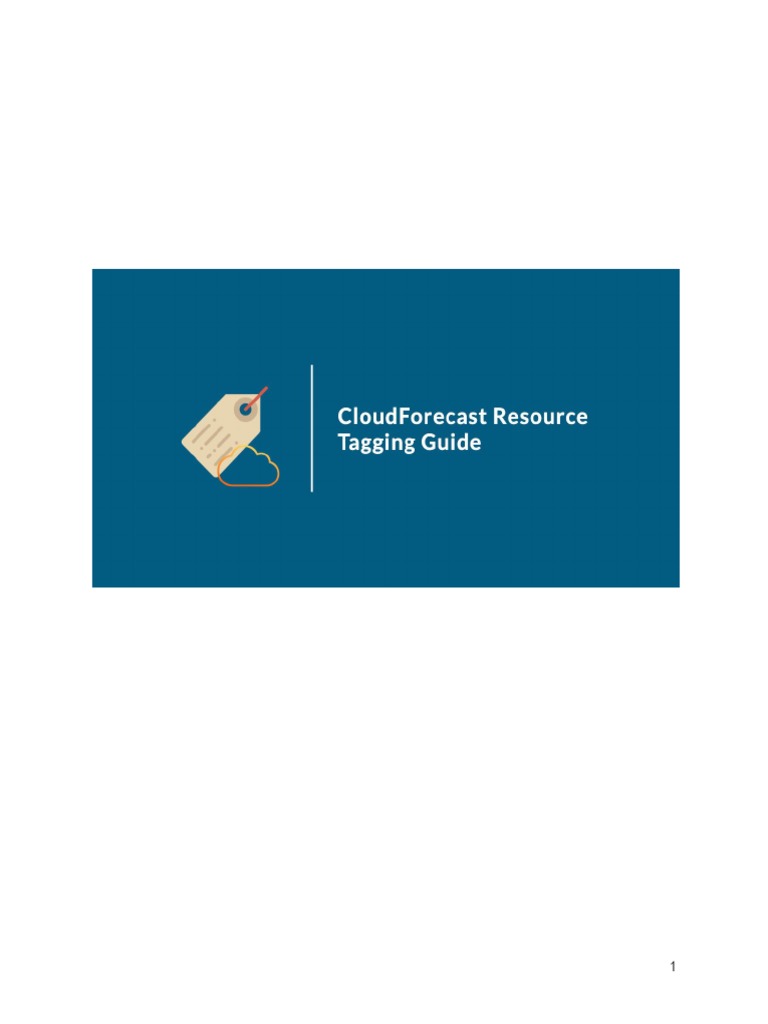 The CloudForecast Resource Tagging Guide - Book | PDF | Business