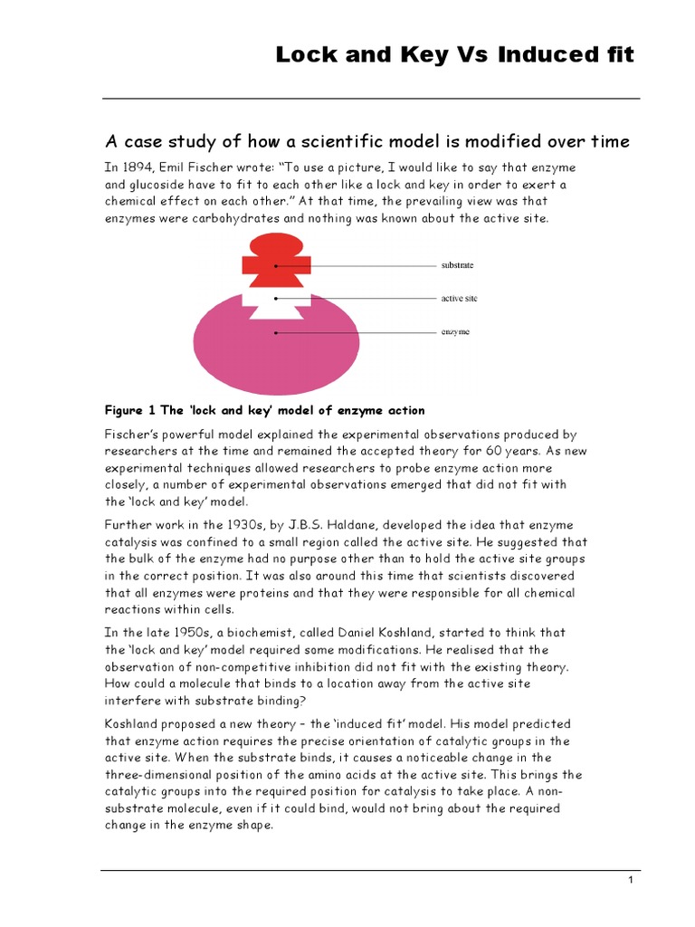 Lock and Key vs. Induced Fit Models | PDF | Active Site | Enzyme