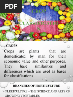 Major Crops in the Philippines by Region | PDF | Agriculture | Agronomy
