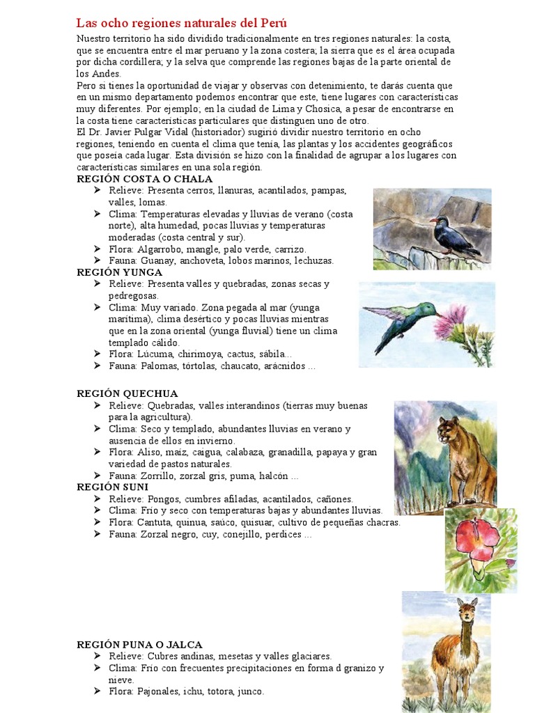 Las Ocho Regiones Naturales Del Perú | PDF | Ciencias de la Tierra ...