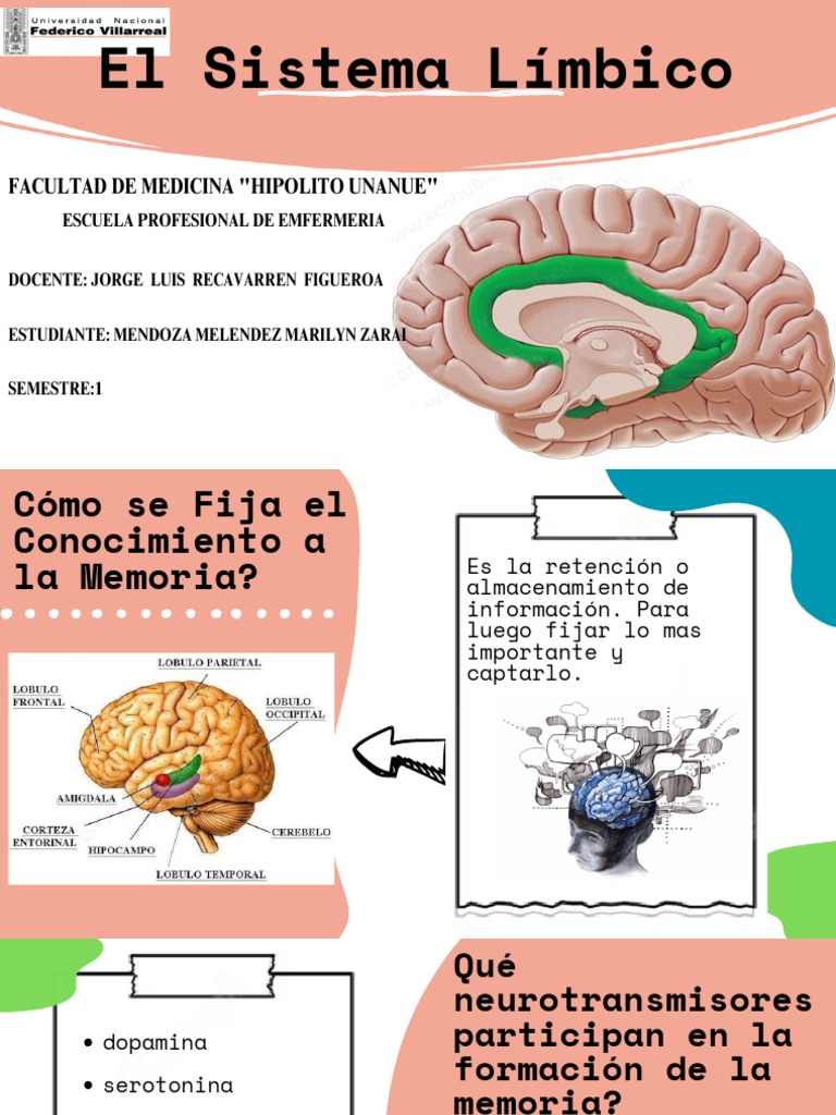 El Sistema Limbico | PDF