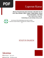 Pathway Ikterus Neonatorum Kram III-IV | PDF