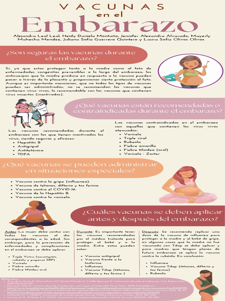 Infografía Vacunas En El Embarazo Pdf Vacunas Influenza