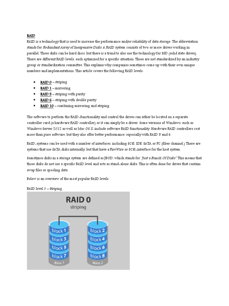 Raid Pdf Backup Computer Data Storage