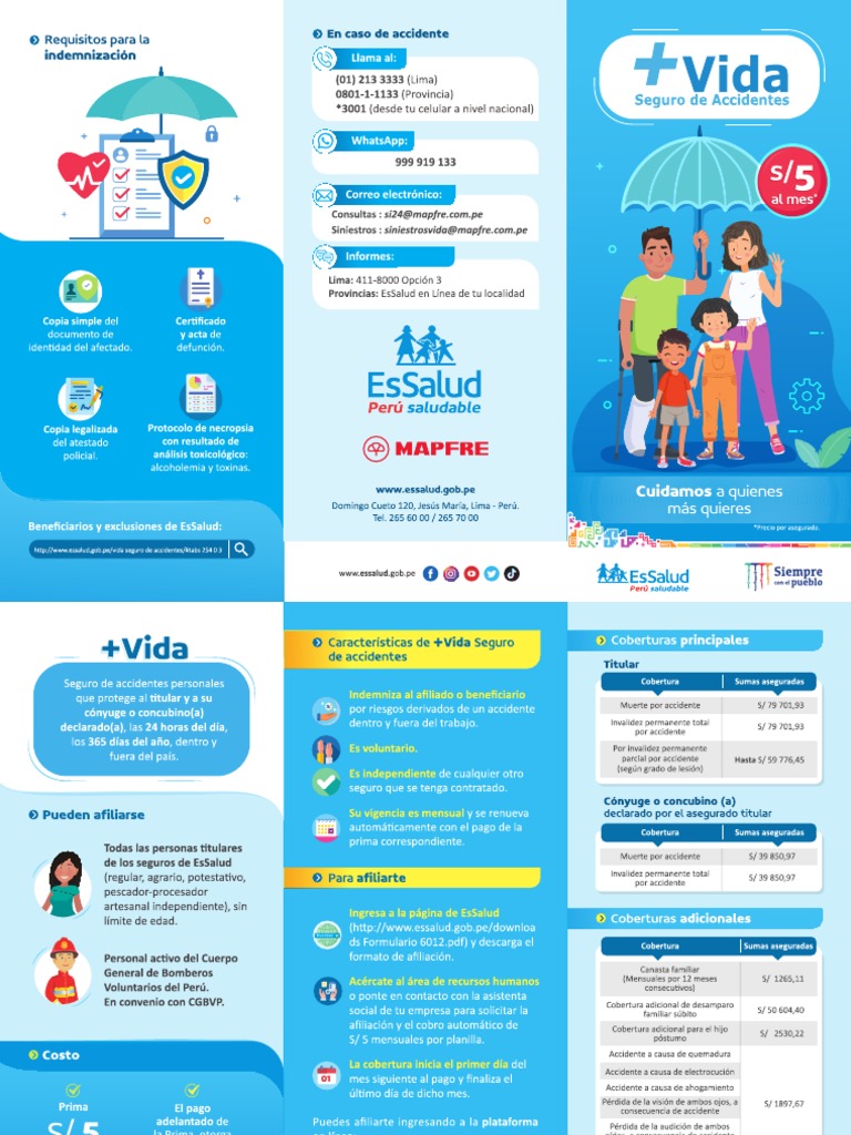 TRIPTICO Mas Vida SCTR 2022 | PDF