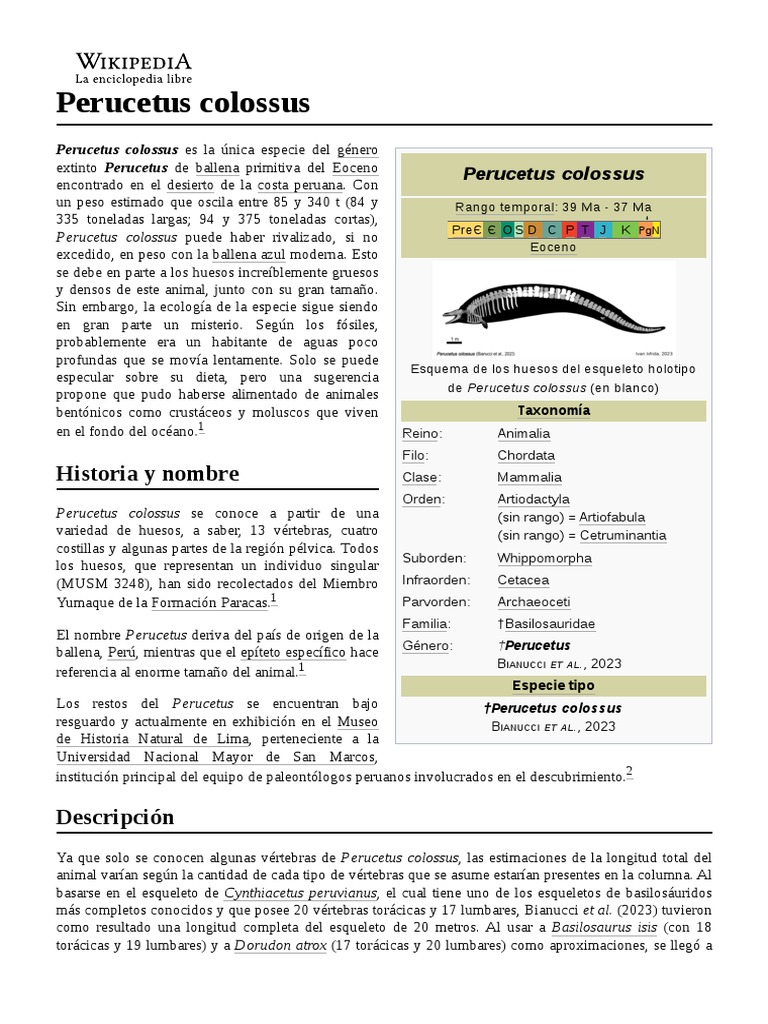 Perucetus Colossus | PDF | Esqueleto | Cetacea