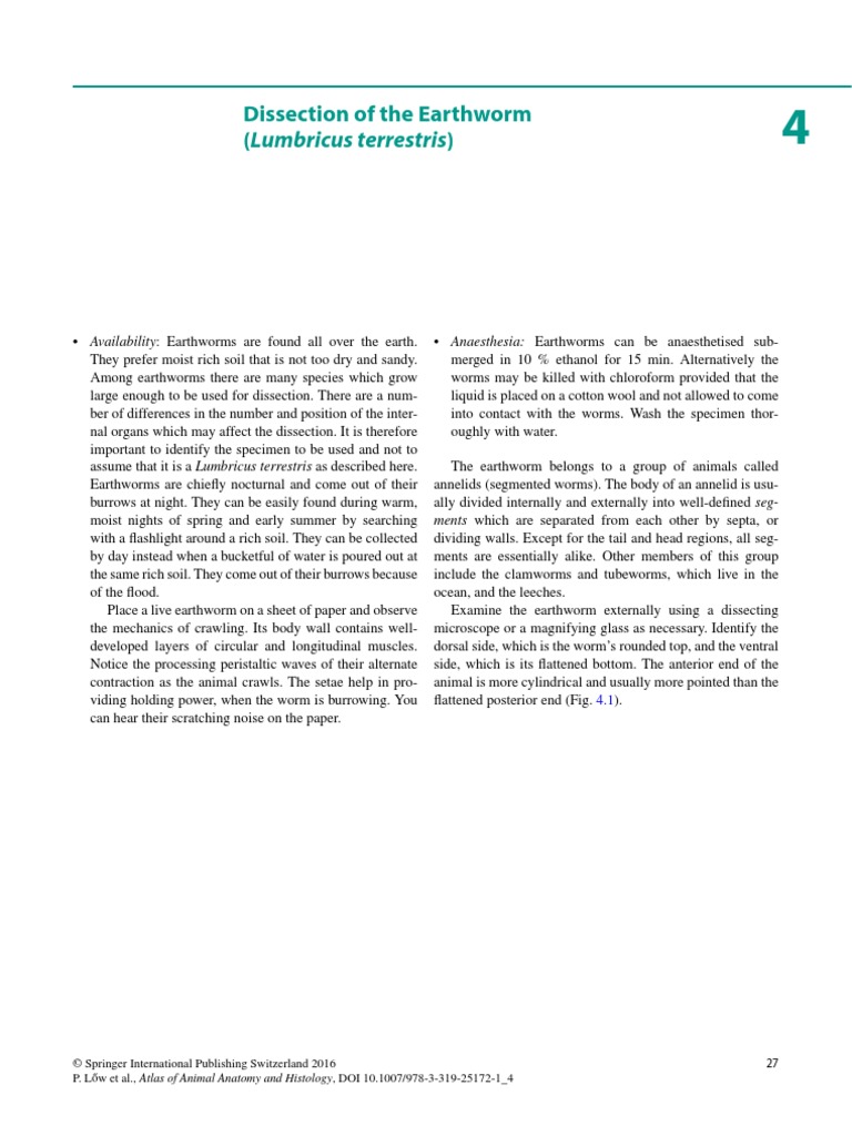 Low Et Al 2016. Dissection of The Earthworm | PDF | Epithelium ...