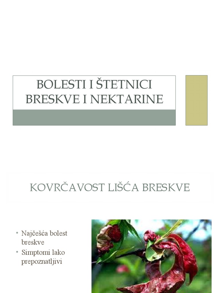 Bolesti i štetnici breskve i nektarine | PDF