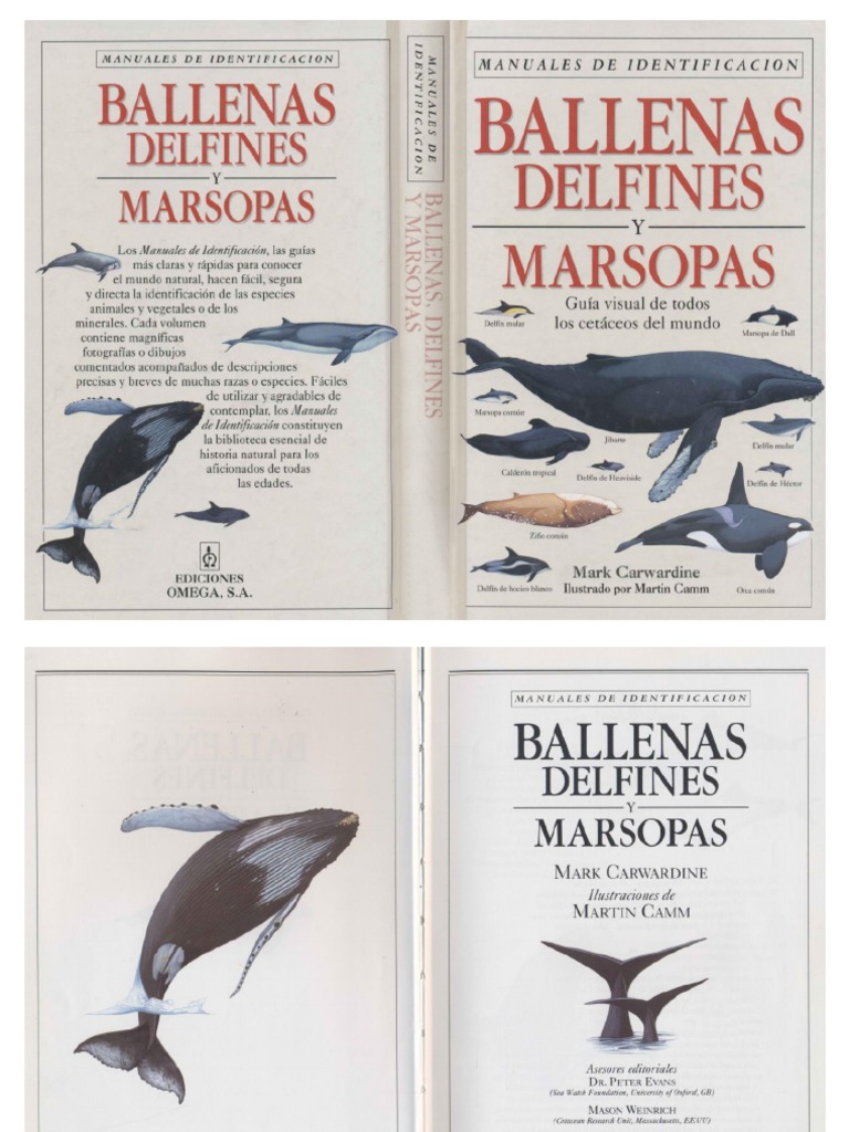 Ballenas Delfines y Marsopas Manuales de | PDF