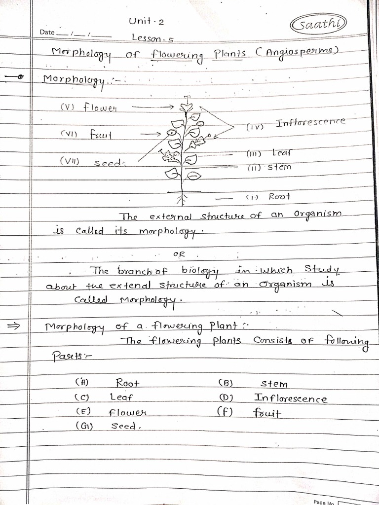 Class 11th Biology Chapter-5,6,7,8 & 9 | PDF
