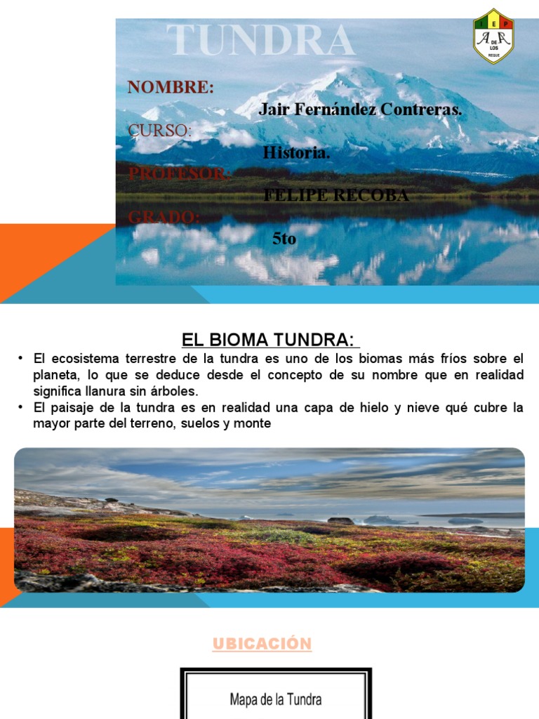 TUNDRA | PDF | Viajes y turismo | Hogar, jardinería y bricolaje