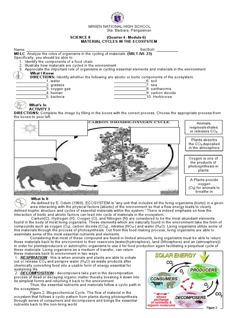 SCIENCE-8-Q4-M-6-cycle of Materials | PDF | Ecosystem | Natural Environment