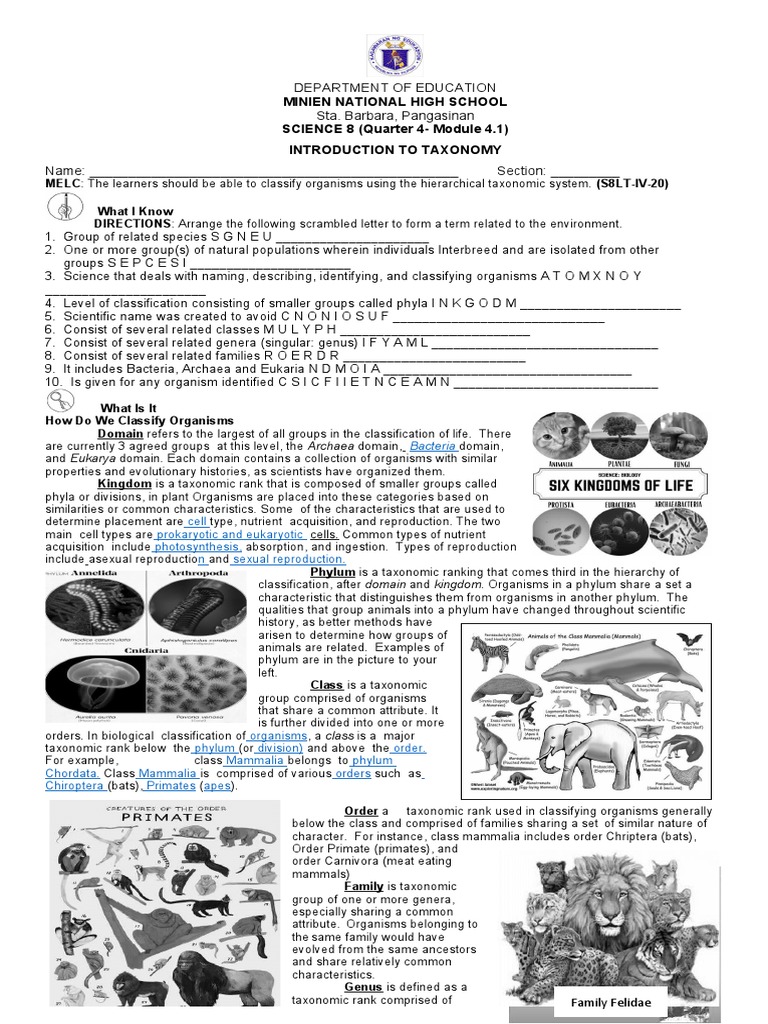 SCIENCE-8-Q4-M-4.1 Taxonomy | PDF | Taxonomy (Biology) | Organisms