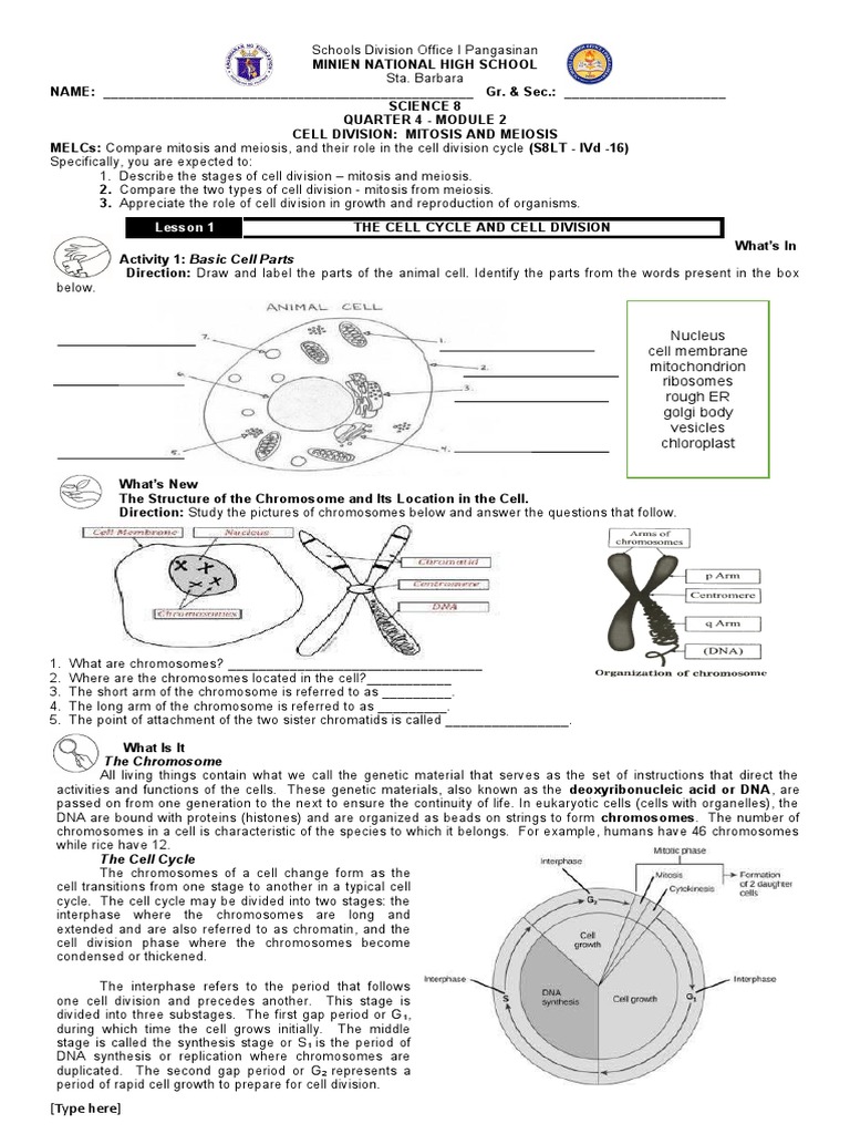 SCIENCE 8 Q4 Module 2 MITOSIS MEIOSIS | PDF | Meiosis | Mitosis