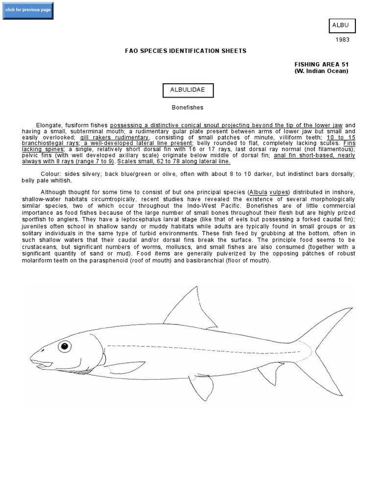 Fao Species Identification Sheets Fishing Area 51 (W. Indian Ocean ...