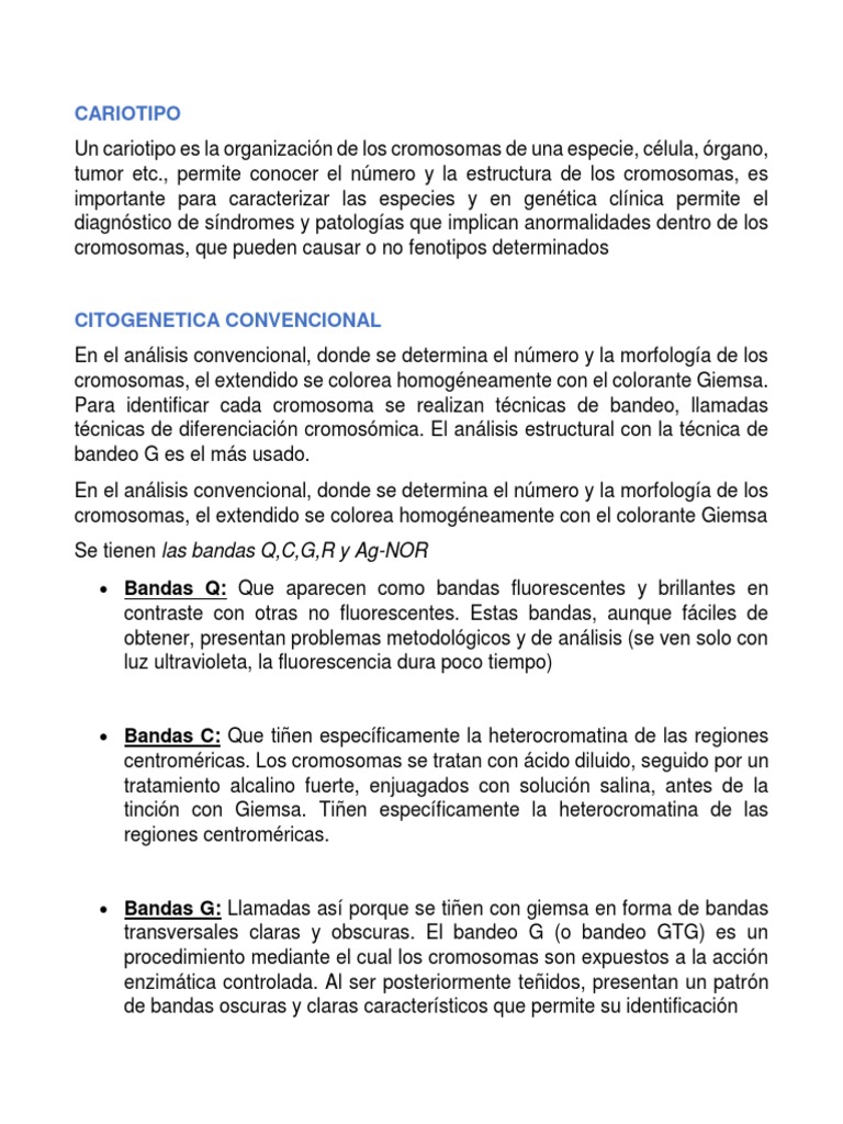 CARIOTIPO | PDF | Cariotipo | Cromosoma
