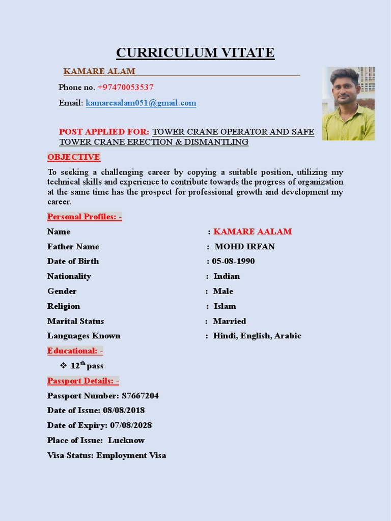 Curriculum Vitate | PDF