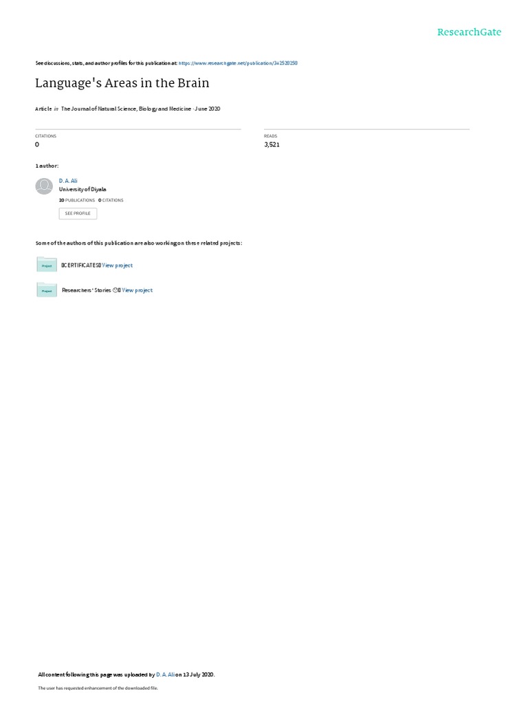 Language Areas in The Brain | PDF | Aphasia | Speech