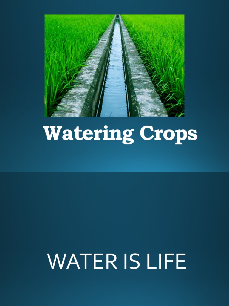 Watering Crops | PDF | Irrigation | Physical Geography