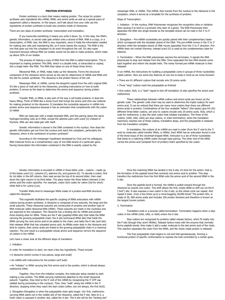 Protein Synthesis | PDF | Translation (Biology) | Rna