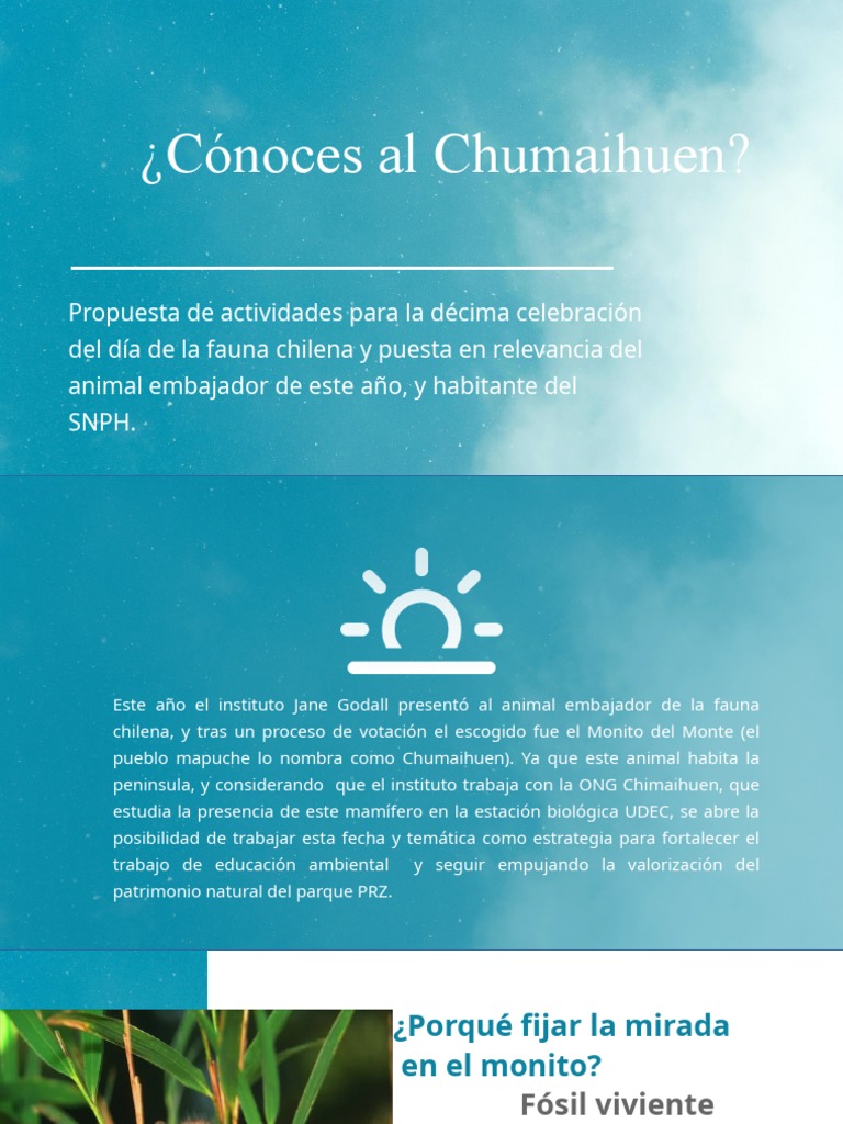 Presentacion Chumaihuen | PDF | Hogar, jardinería y bricolaje | Salud y bienestar