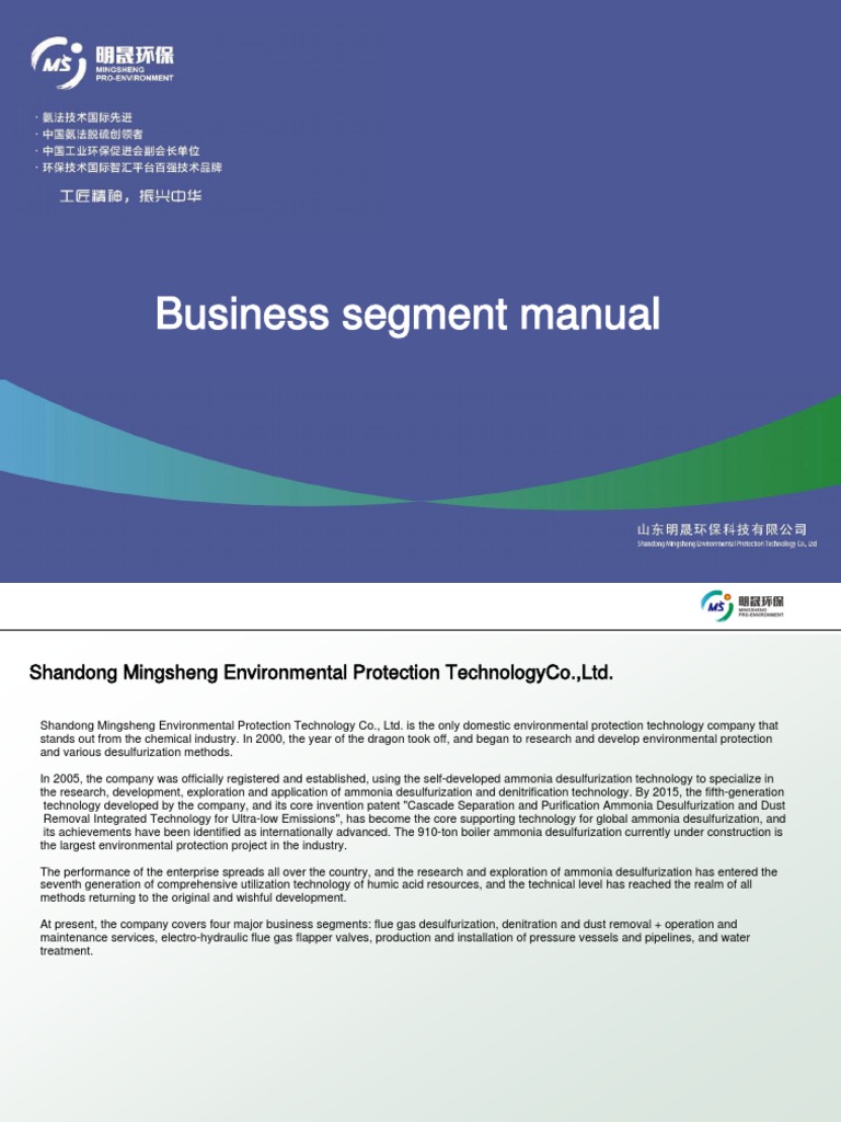 Mirshine Business Segments | PDF | Ammonia | Boiler
