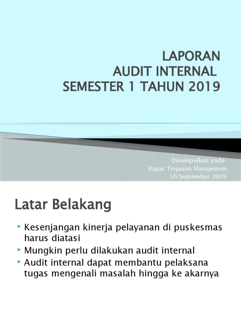 Audit Internal | PDF