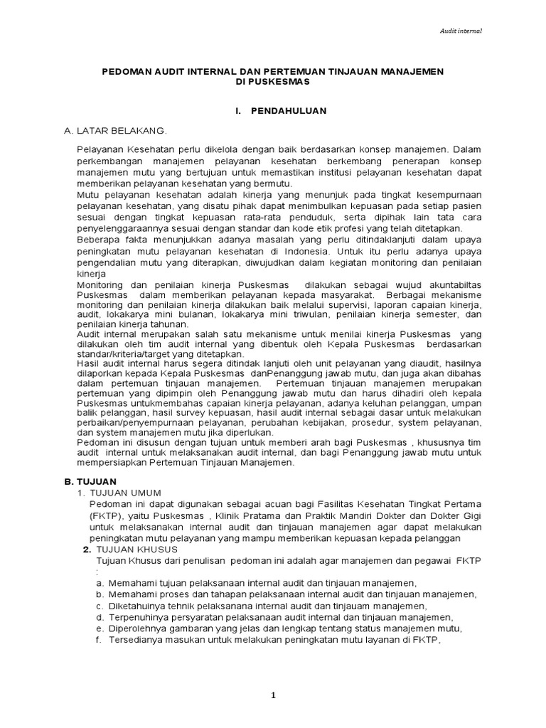 Pedoman Audit Internal Dan RTM | PDF