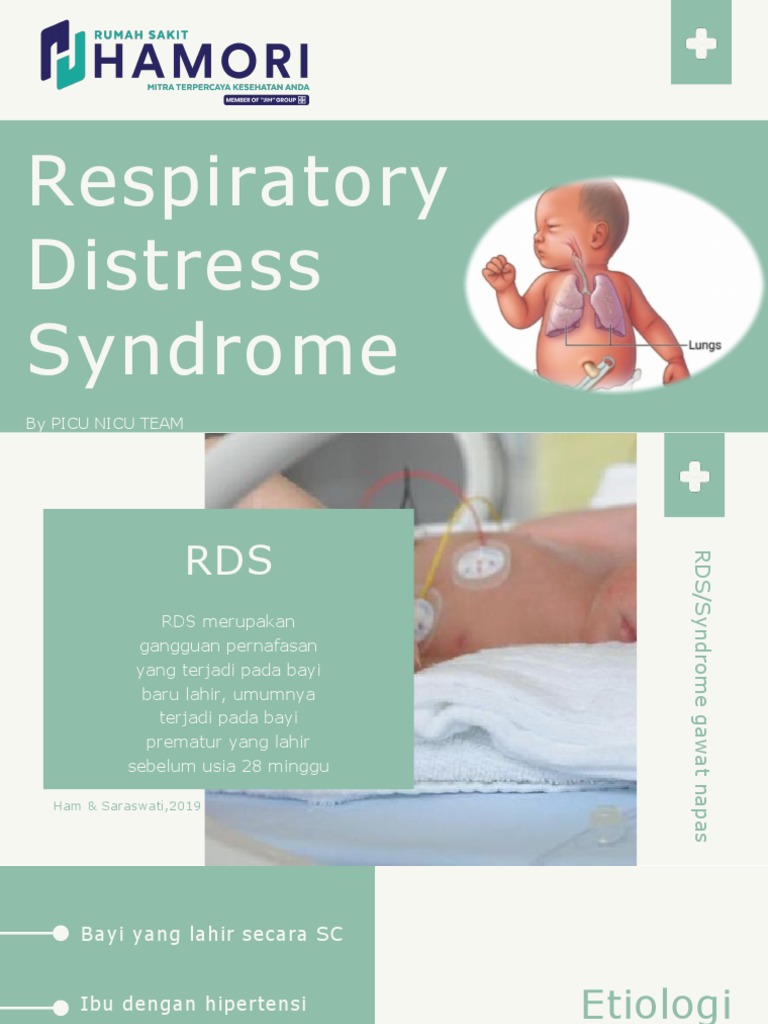 Rds Picu Nicu | PDF