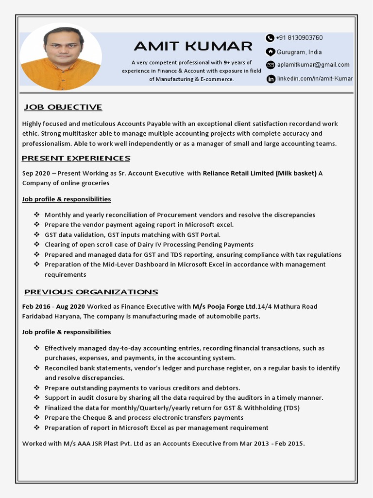 Amit Kumar - Job Application - Senior Account Executive | PDF | Accounting | Audit