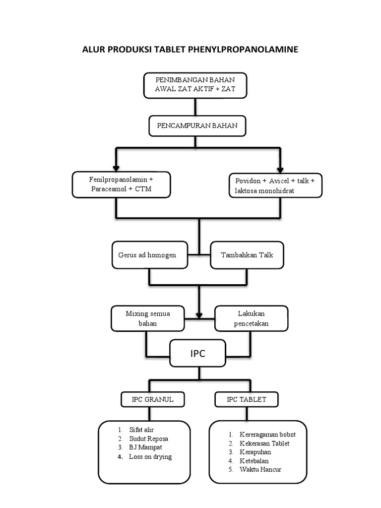 Skema Alur Produksi Agustina | PDF