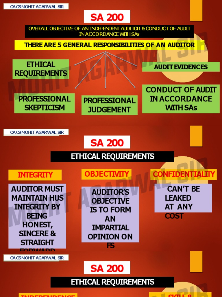Audit Notes | PDF | Auditor's Report | Audit