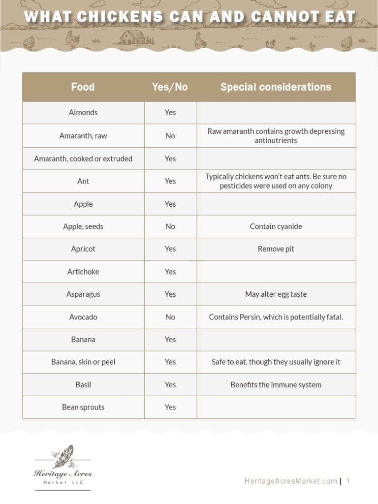 What Chickens Can & Cannot Eat | PDF | Foods | Egg As Food