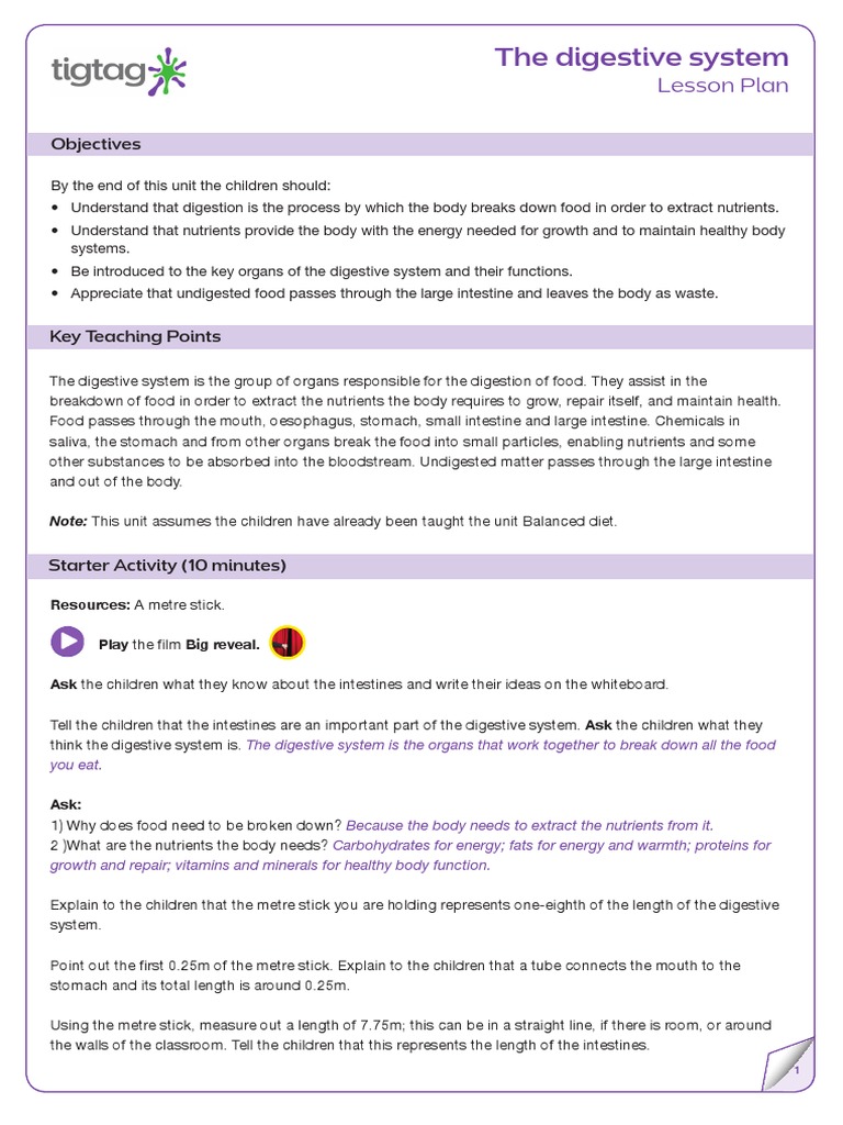38518-Lesson Plan The Digestive System | Download Free PDF | Digestion ...
