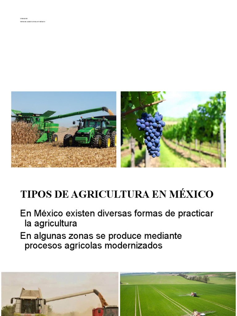 TIPOS DE AGRICULTURA EN MÉXICO | PDF | Agricultura | Sociedad