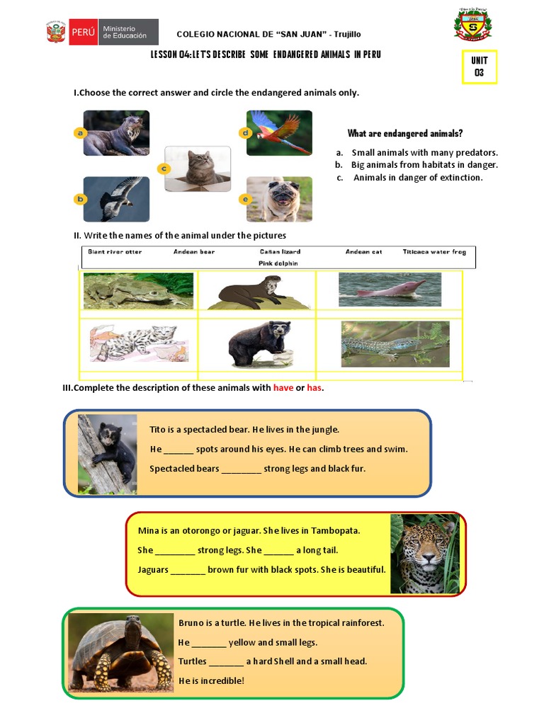 Lesson 04 Let S Describe Some Endangered Animals in Peru | PDF