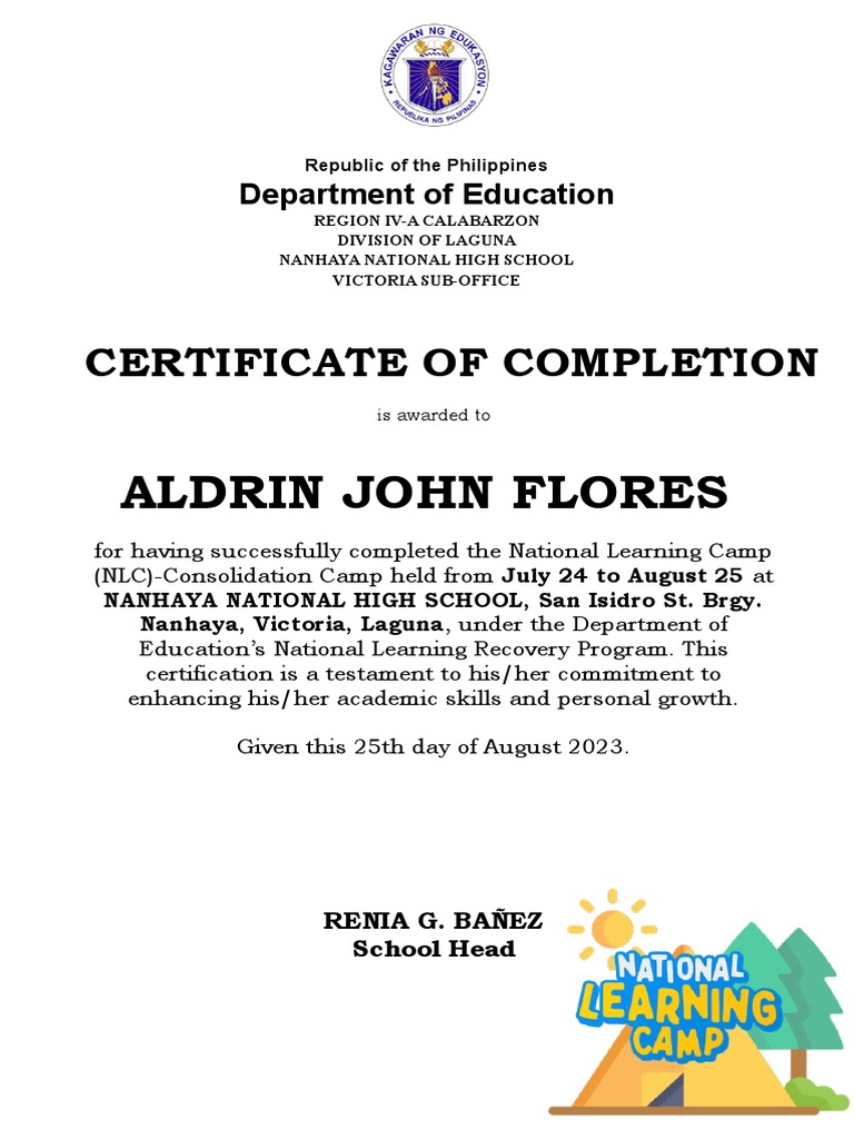 National Learning Camp Completion Certificate | PDF | Public Law ...