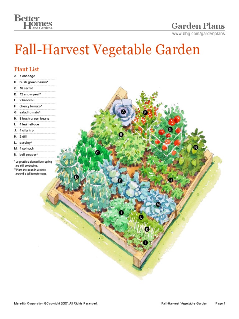 Fall Harvest Vegetable Garden | Download Free PDF | Mulch | Trees
