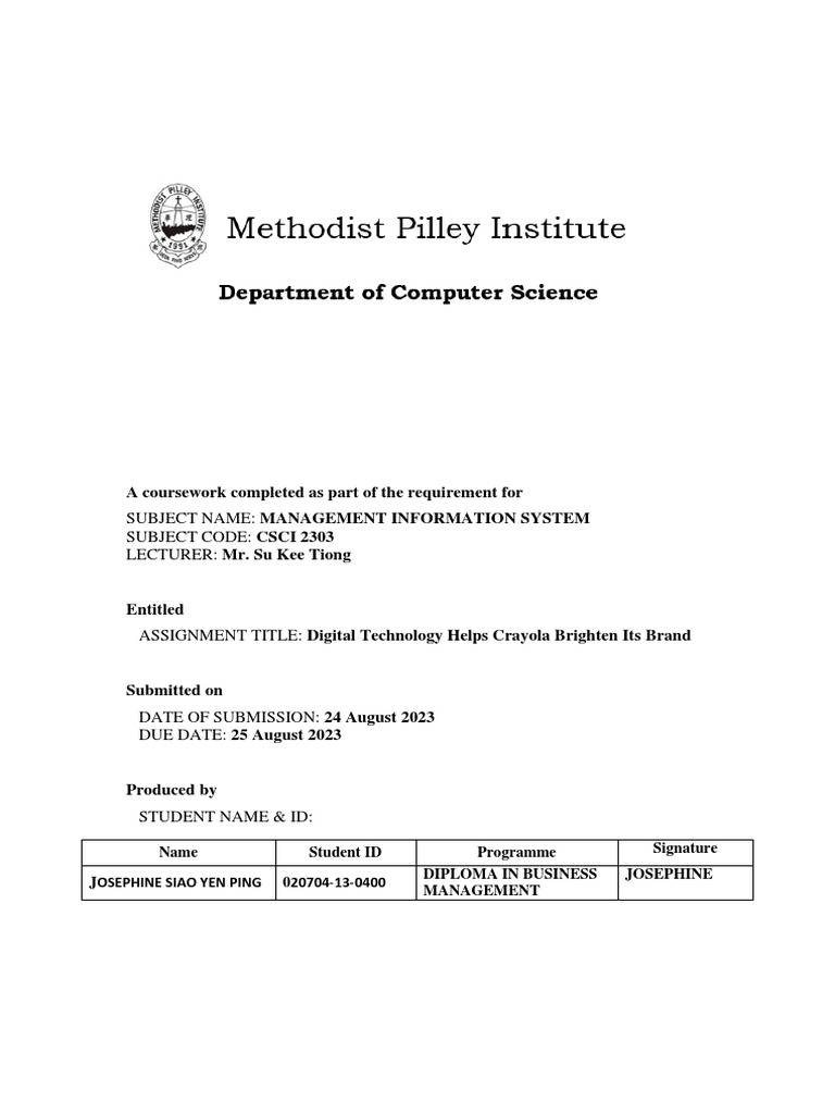 Josephine Mis Assignment (1) | PDF | Business Model | Toys