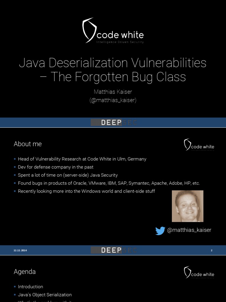 Java Deserialization Vulnerabilites The Forgotten Bug Class Redacted V1 Pdf Java