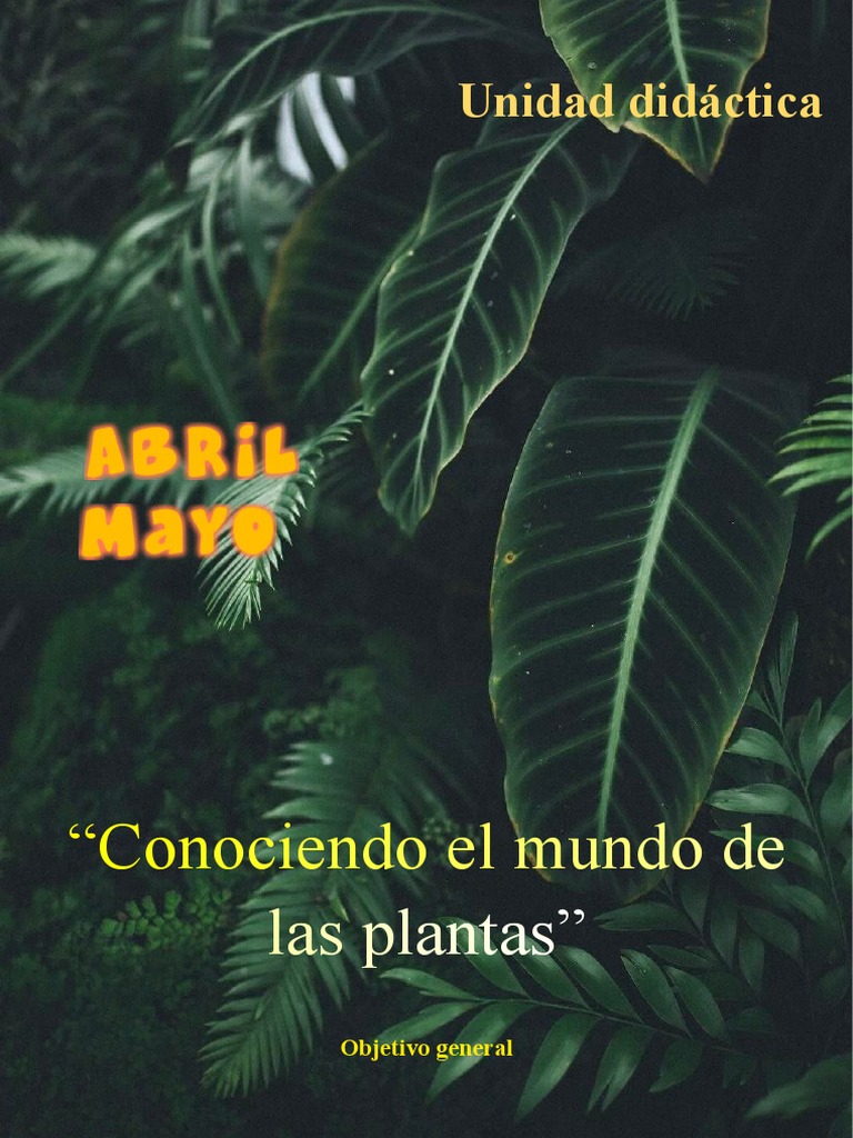 Unidad Conociendo El Mundo de Las Plantas | PDF | Educación primaria ...
