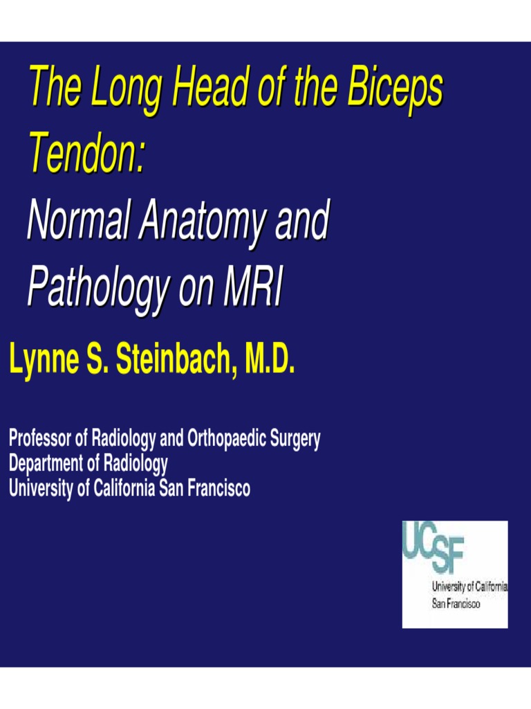 STEINBACH - MRI of The Shoulder - Long Head of The Biceps Tendon | PDF ...