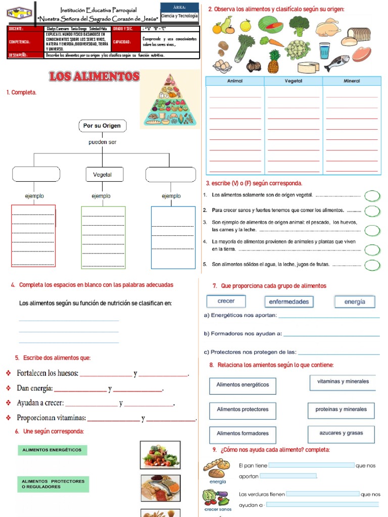 Clasificación de Alimentos en Educación Infantil | PDF