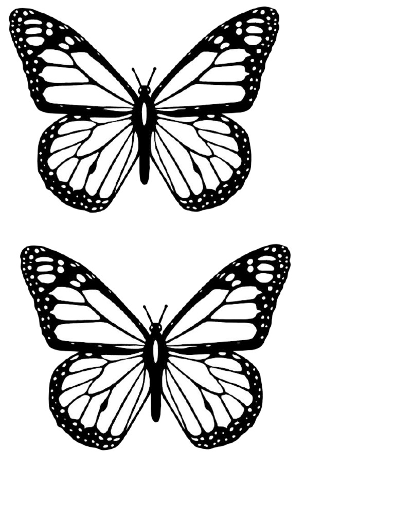 Butterfly | PDF